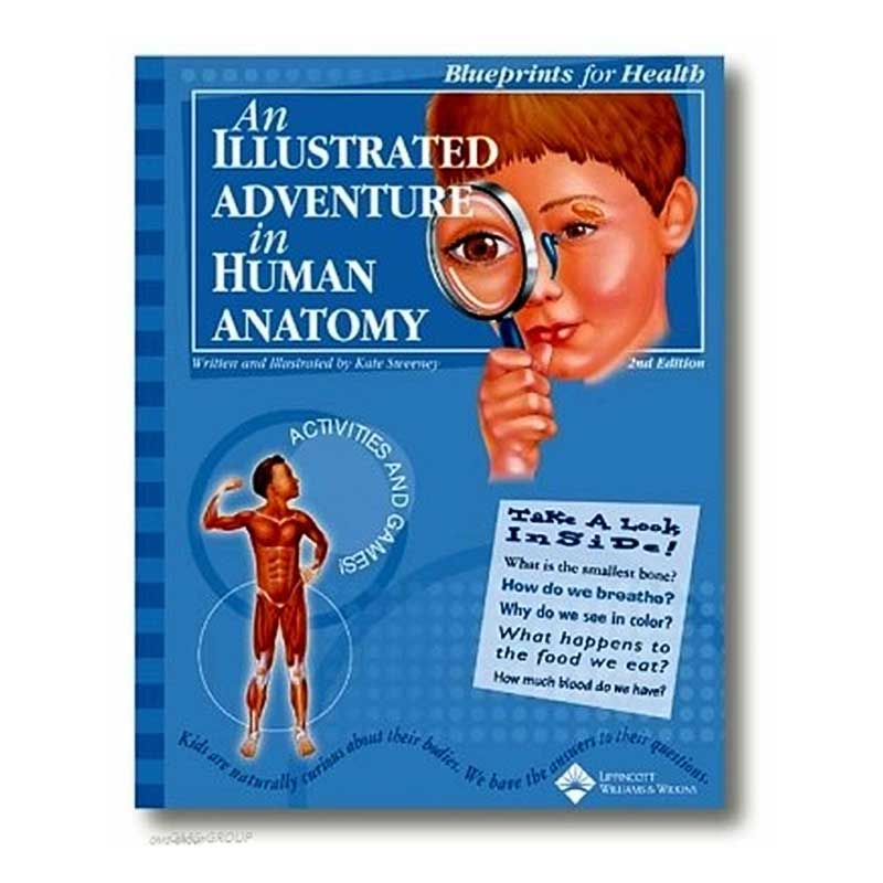 An Illustrated Adventure in Human Anatomy | Pro Therapy Supplies