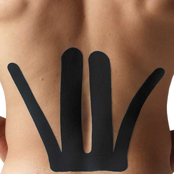 SpiderTech - Lower Back | Pro Therapy Supplies